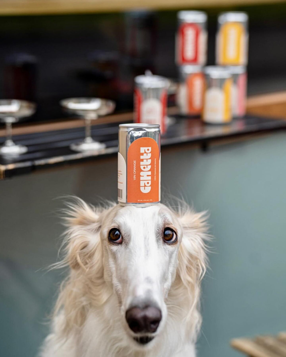 Canetta - Vins naturels en canette – CANETTA